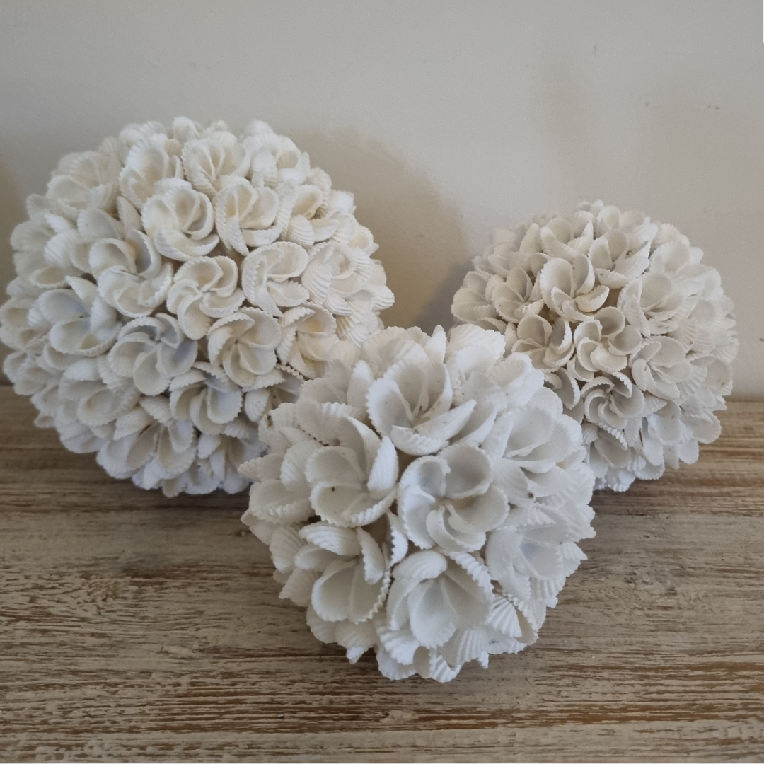 Products: Unique Natural Element Furniture - Azure Decor