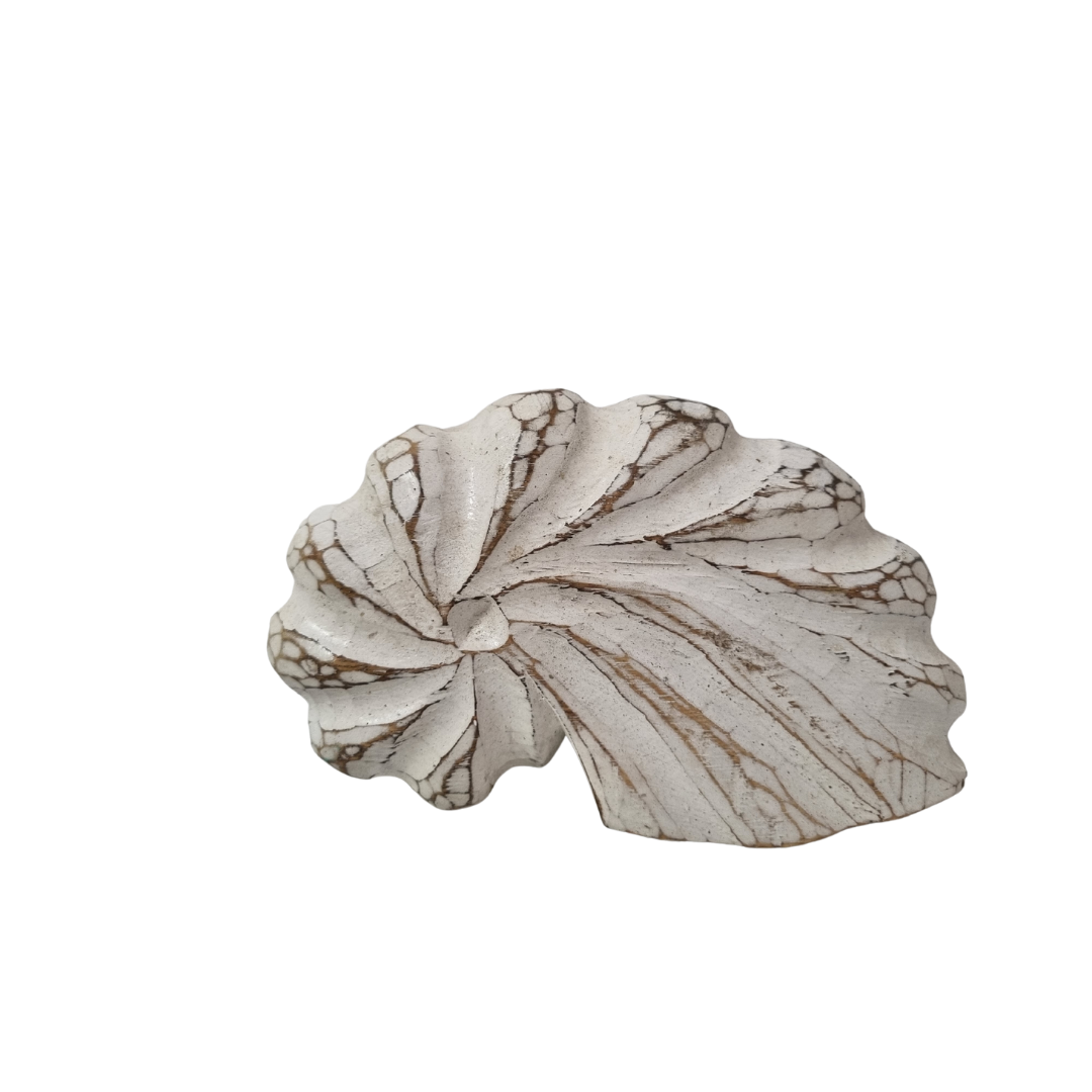 Wooden Carved Sea Shell - Azure Decor