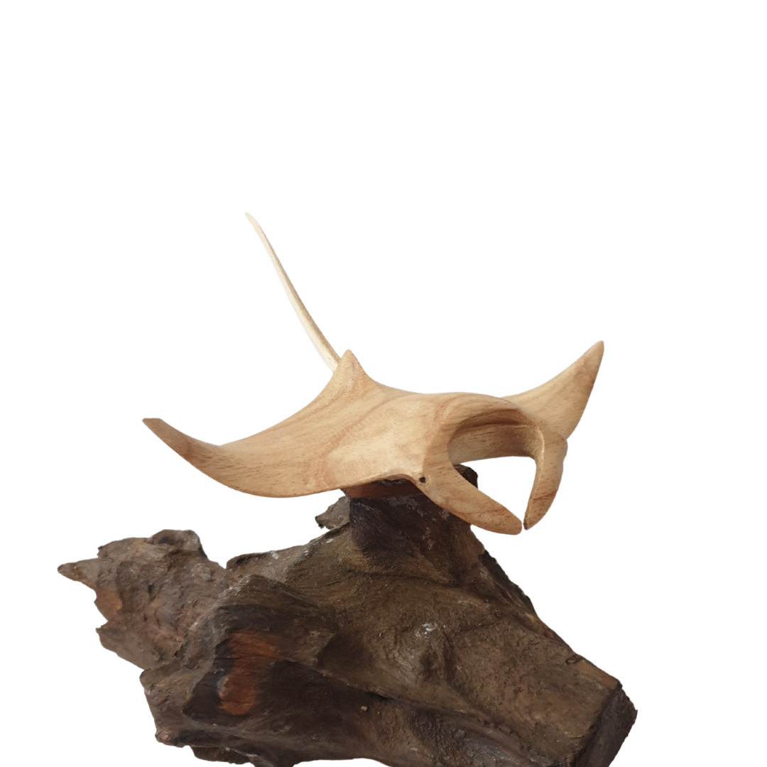 Manta Ray Root Wood Carving - Azure Decor